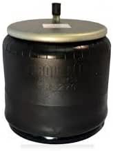 Amazon.com: Air Spring : Industrial & Scientific