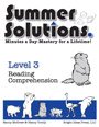 Summer Solutions Reading Comprehension, Level 3: Amazon.co.uk ...
