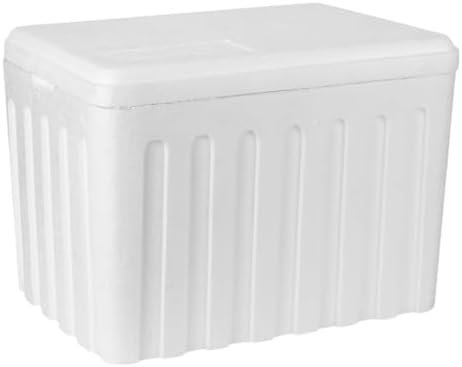 E-Kool 10 Liters Insulated Ice Box – Lightweight EPS Cooler for ...