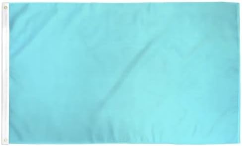 Amazon.com : Light Blue Solid Color Flag 3x5ft Poly : Patio, Lawn & Garden
