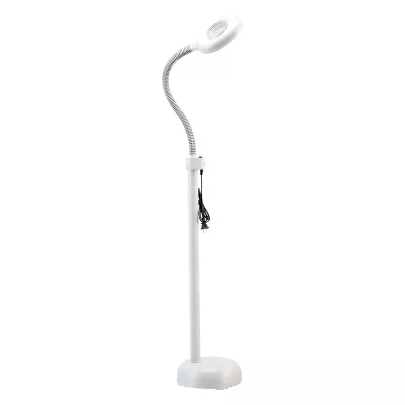 Amazon.in Bestsellers: The most popular items in Soft Light Boxes
