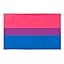 PHENO FLAGS Drapeau Pride Progress 90x150 cm – extrêmement résistant ...