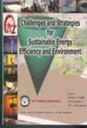 Challenges and Strategies for Sustainable Energy Deficiency and ...