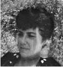 Amazon.com: Lynne Heffner Ferrante: books, biography, latest update