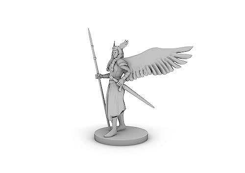 Amazon.com: Valkyrie Tabletop DND Gaming Miniature : Toys & Games