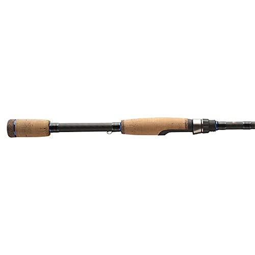 What You Need to Know Before Purchasing a Dobyns Champion XP Spinning Rod