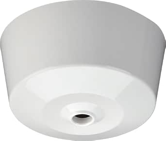 Knightsbridge 230V 10A 3pin Plug in Ceiling Rose : Amazon.co.uk ...