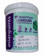 HYDROLOC SMARTCARE ASIAN WATERPROOF PAINT : Amazon.in: Home Improvement