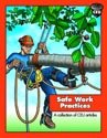 CEU Compendia - Safe Work Practices - 9781881956402 - Livros na Amazon ...