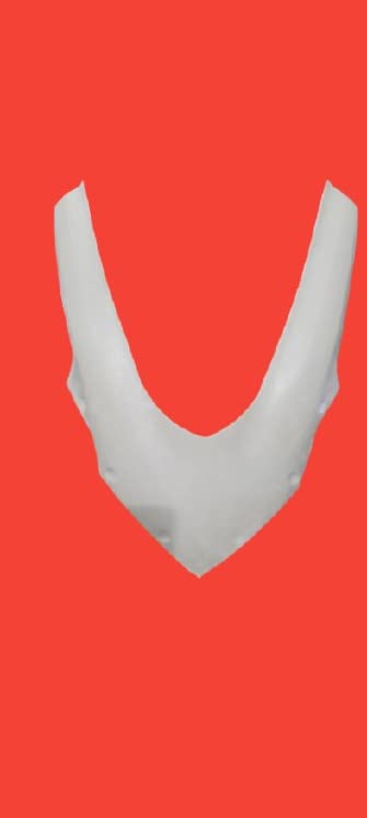 FK Racing Bajaj RS200 V-MASK with V3 Visor (not Painted) : Amazon.in ...