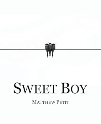 Sweet Boy: Petit, Matthew: 9781609644475: Amazon.com: Books