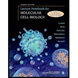 Molecular Cell Biology : Lodish, Harvey F.: Amazon.co.za: Books