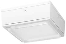 Amazon.com: RAB VANLED Canopy Light5000K : Tools & Home Improvement