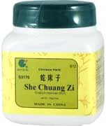 Amazon.com: She Chuang Zi - Cnidium fruit, 100 grams : Patio, Lawn & Garden
