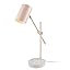 Globe Electric 52098 Pratt 20" Desk/Table Lamp, Matte Brass Finish ...