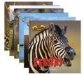 Elephants, Giraffes, Hippos, Leopards, Lions, & Zebras On Safari ...