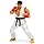 Amazon.com: Street Fighter II 6" Ryu Action Figure, Toys for Kids and ...