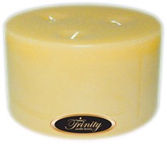 Trinity Candle Factory -Christmas Remembered - Pillar Candle - 6x3 ...
