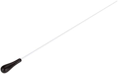 Amazon.com: Music Baton Rhythm Band Music Band Conducting Baton for ...