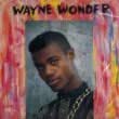 Wayne Wonder | Amazon.com.br