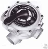 Hayward SP0715ALL 2 In. All Purpose Mutiport : Amazon.ca: Everything Else