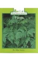 Ferns (Rookie Read-About Science): Fowler, Allan: 9781845377953: Amazon ...
