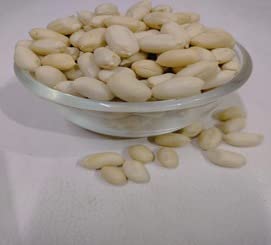 Golden resources_PEANUTS| ROASTED_PEANUTS| Roasted groundnut Snacks ...