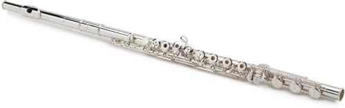 Amazon.com: Gemeinhardt Model 3OB Flute, Open Hole, Offset G, B-Foot ...