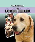 Labrador Retriever, The (Our Best Friends): Sandra Bolan: 9781932904475 ...