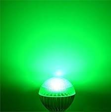 Buy Honestystore® Small Multicolor Bulb for Mandir, Temple, Diwali ...