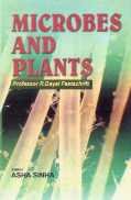 Microbes and Plants: Asha Sinha: 9788187815662: Amazon.com: Books