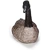 Amazon.com: Sitting Canadian Goose Garden Statue : Patio, Lawn & Garden