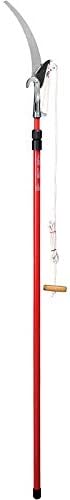 Amazon.com : Corona TP 3841 DualCOMPOUND Action 12-ft. Tree Pruner, Red ...
