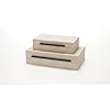 Amazon.com: Generic Sagala Set of 2 Ivory Shagreen Decorative Boxes ...