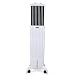 Symphony Diet 50T Portable Air Cooler For Home with Powerful Blower ...