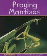 Praying Mantises: Frost, Helen: 9780736848817: Amazon.com: Books