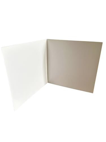 Amazon.com: 12-Inch Vinyl Record Gatefold Album Sleeve, Double Panel ...
