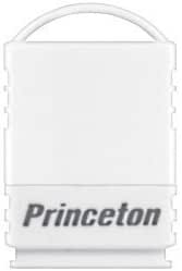 Amazon.com: Princeton Technology PFU-MH/2W 2GB Micro USB Memory Small ...