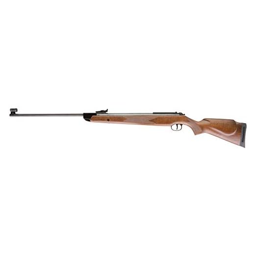 11 Best Air Rifles Reviewed in 2026 | OutdoorWorld Reviews