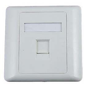 Face Plate 2 Port for CAT 6 Information Outlet : Amazon.in: Electronics