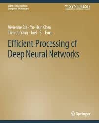 Buy Efficient Processing of Deep Neural Networks Book Online at Low ...