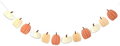 Amazon.com: Little Pumpkin Birthday Banner - Pumpkin Decorations, Fall ...