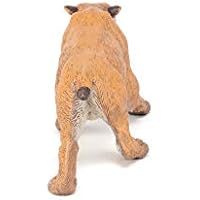 Amazon.com: Papo Smilodon Saber-Tooth Cat : Everything Else