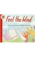 Feel the Wind (Let's-Read-and-Find-Out Science 2): Dorros, Arthur ...
