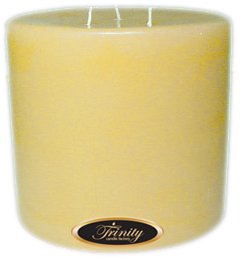 Trinity Candle Factory -French Vanilla - Pillar Candle - 6x6 : Amazon ...
