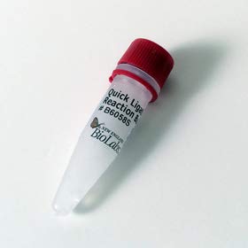 NEBNext Quick Ligation Reaction Buffer (5X) - 2.0 ml: Amazon.com ...