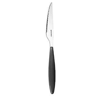 Guzzini, Steak Knife Feeling, 22,5 cm : Amazon.co.uk: Home & Kitchen
