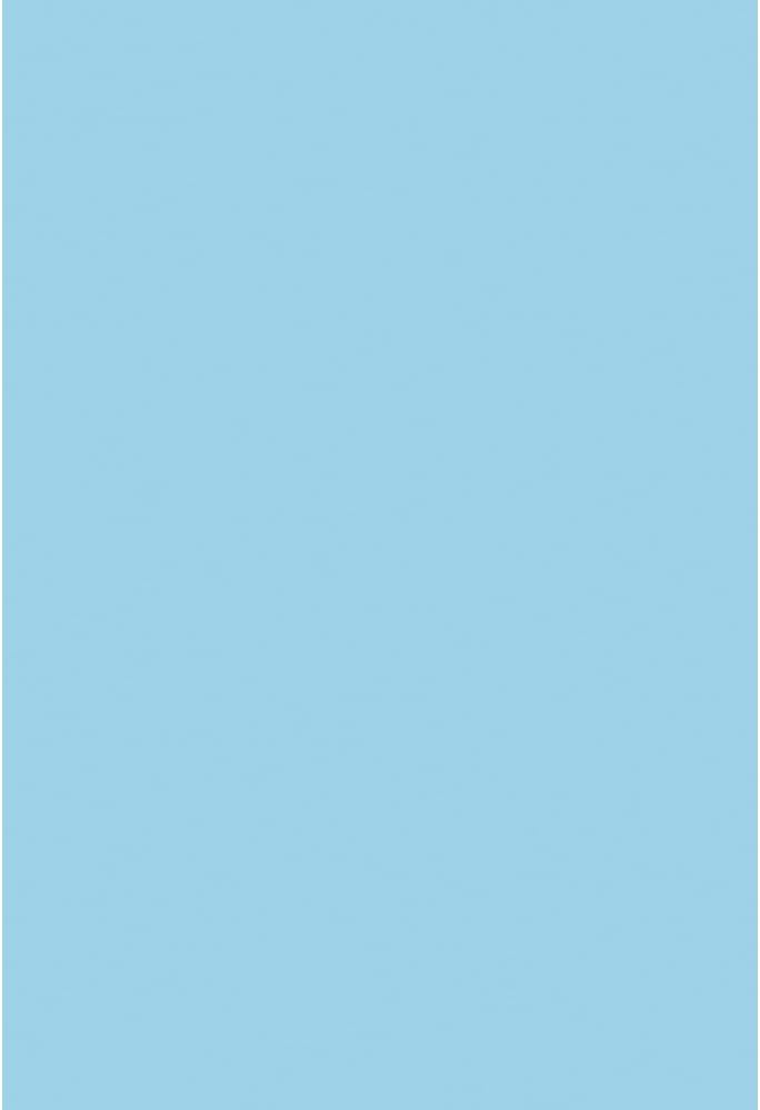 Amazon.com : Renaiss 3x5ft Baby Blue Backdrop for Photoshoot Portrait ...