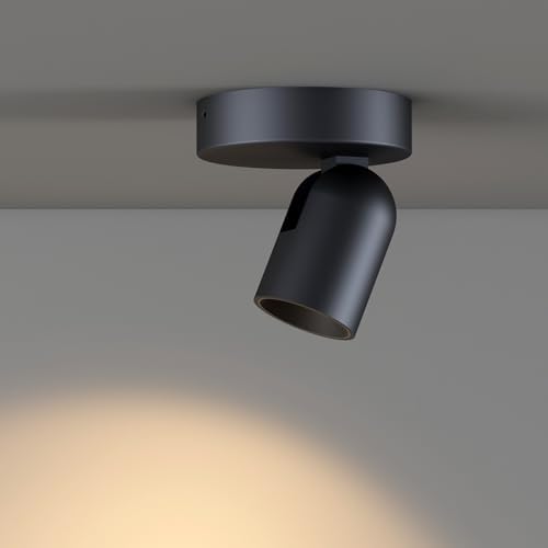 ilucezzo Flush Mount Ceiling Spotlight Dimmable Small Indoor Ceiling ...