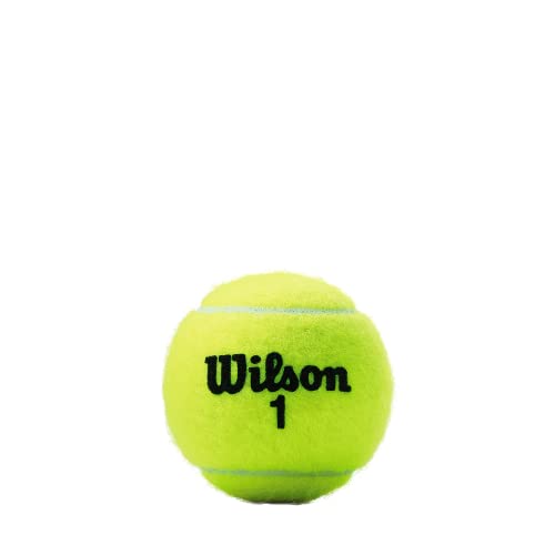 Snapklik.com : WILSON Championship Tennis Balls - Extra Duty, 4 Can Pack